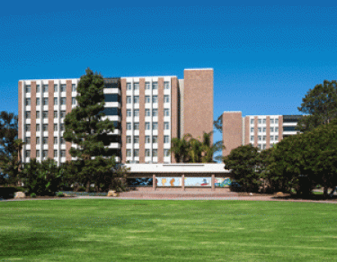 Housing Options | Campus Housing